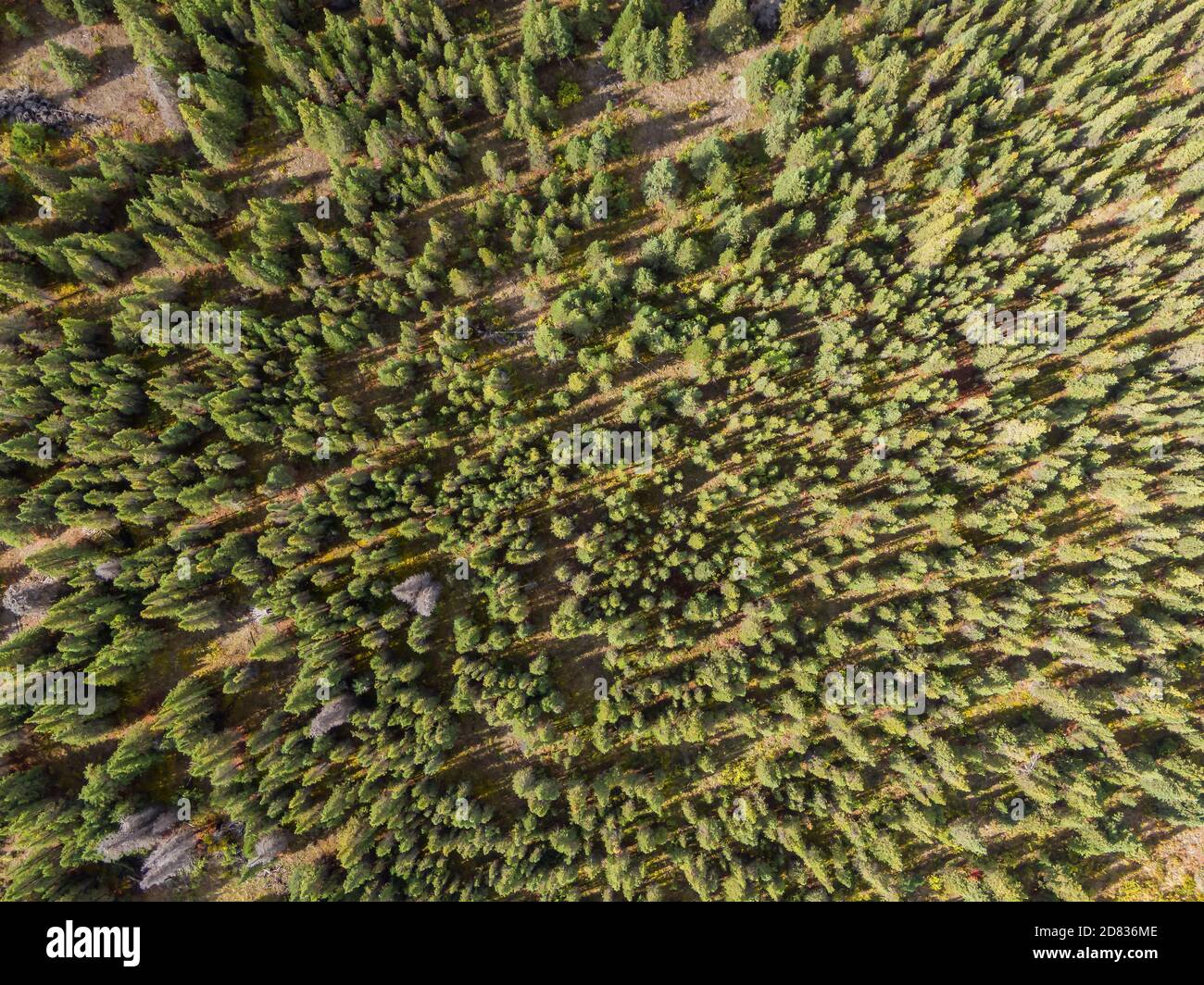 Natural drone travel shot sunshine hi-res stock photography and images ...