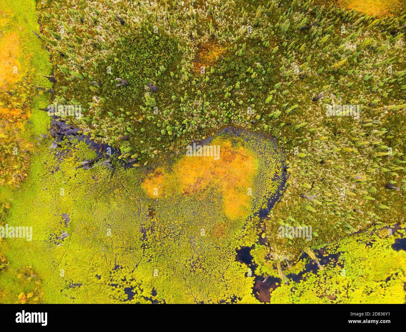 Aerial view of colorful pond in the marshlands Stock Photo - Alamy