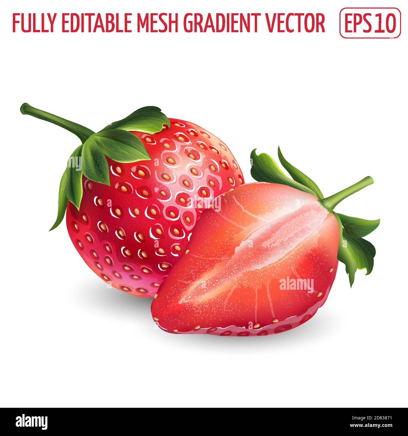 Whole half strawberry on Stock Vector Images - Alamy
