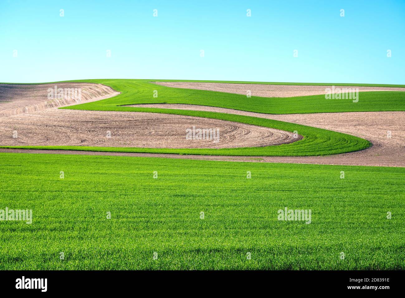 Palouse wheat hi-res stock photography and images - Alamy