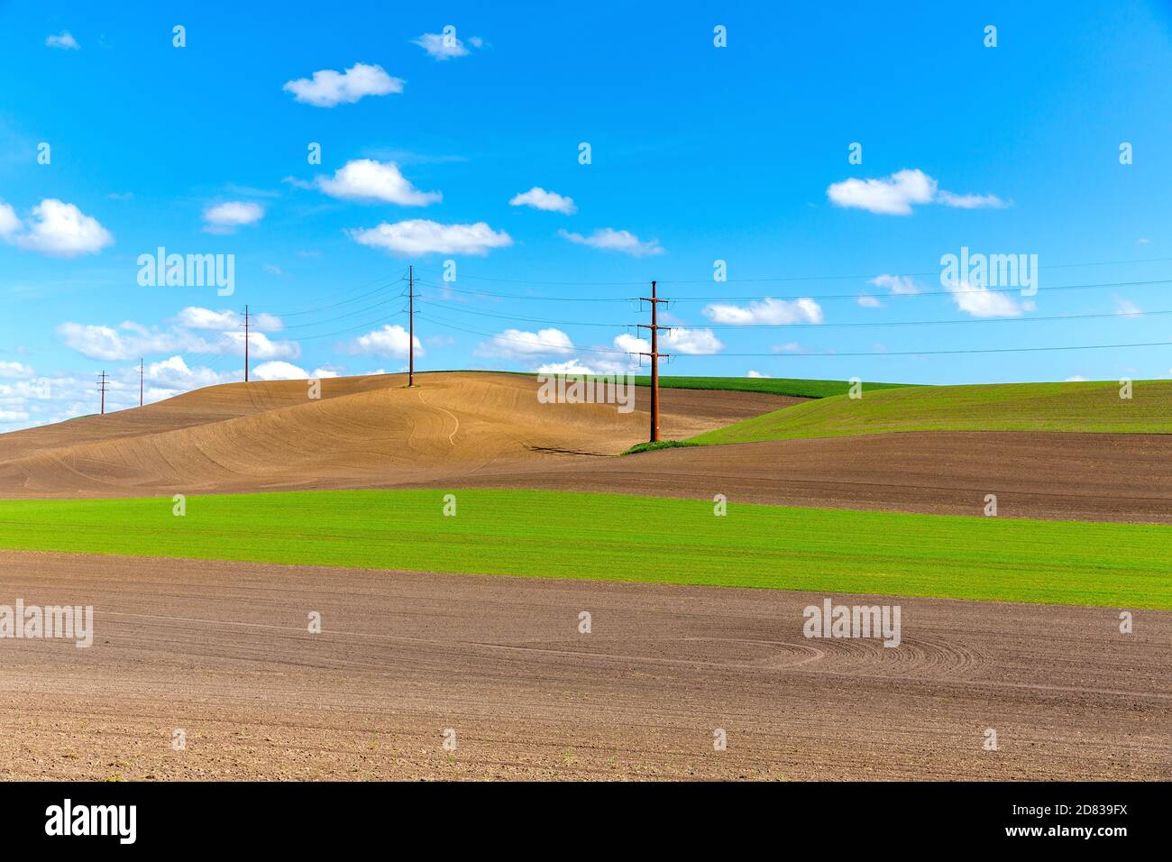 Palouse wheat hi-res stock photography and images - Alamy