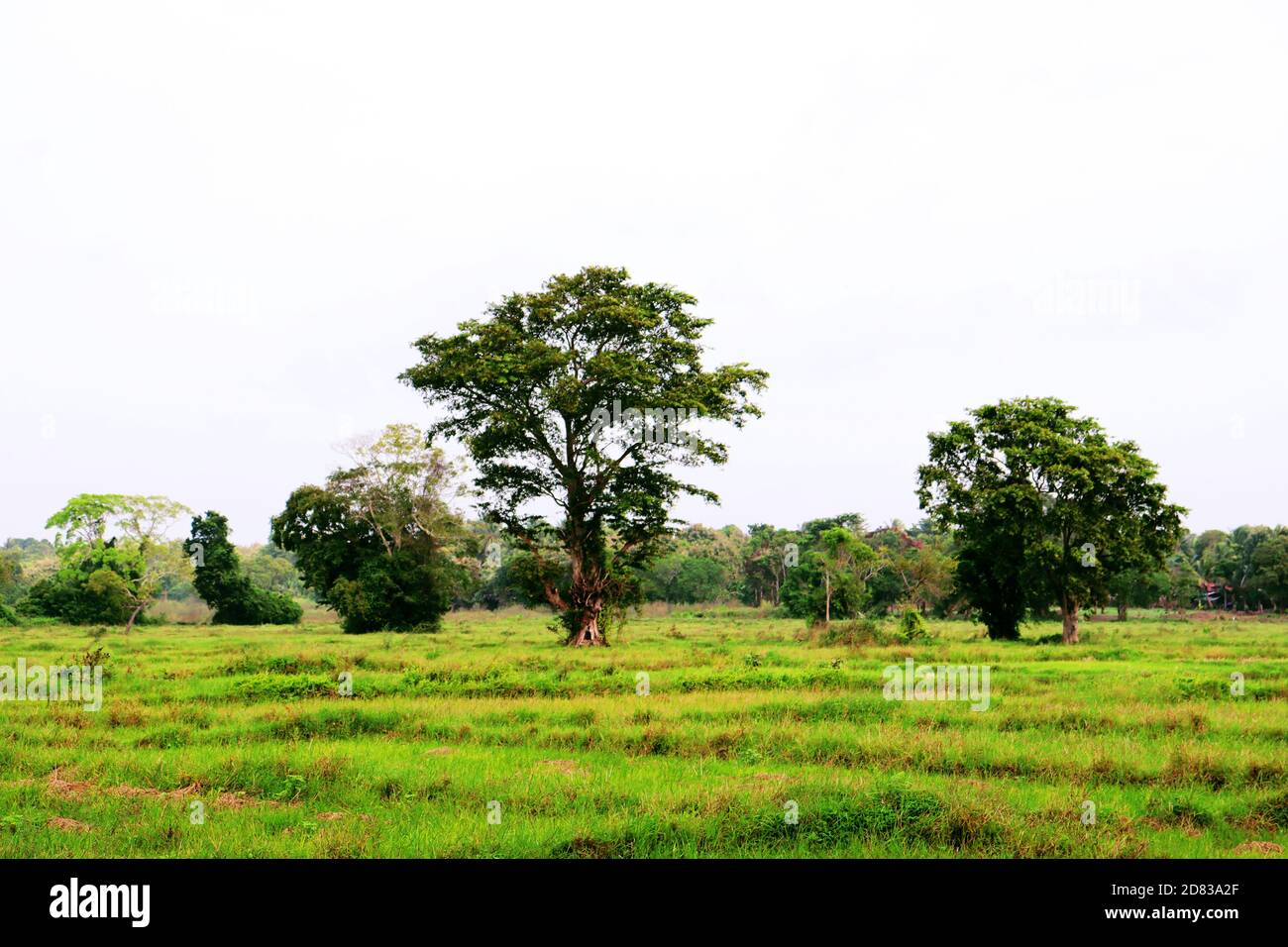 Beautiful unspoilt countryside hi-res stock photography and images - Alamy