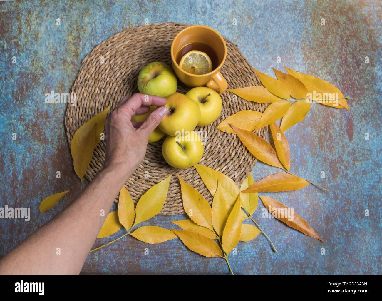 Human hand picking apple, still life of apples and infusion Stock Photo ...