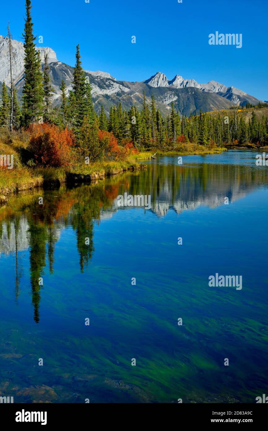 A vertical image of a clod spring with a rocky mountain backdrop in ...
