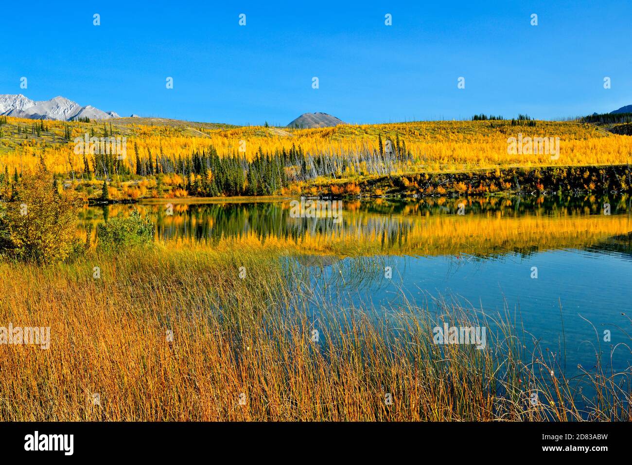 A beautiful autumn reflection on Talbot lake from Sincline ridge in ...