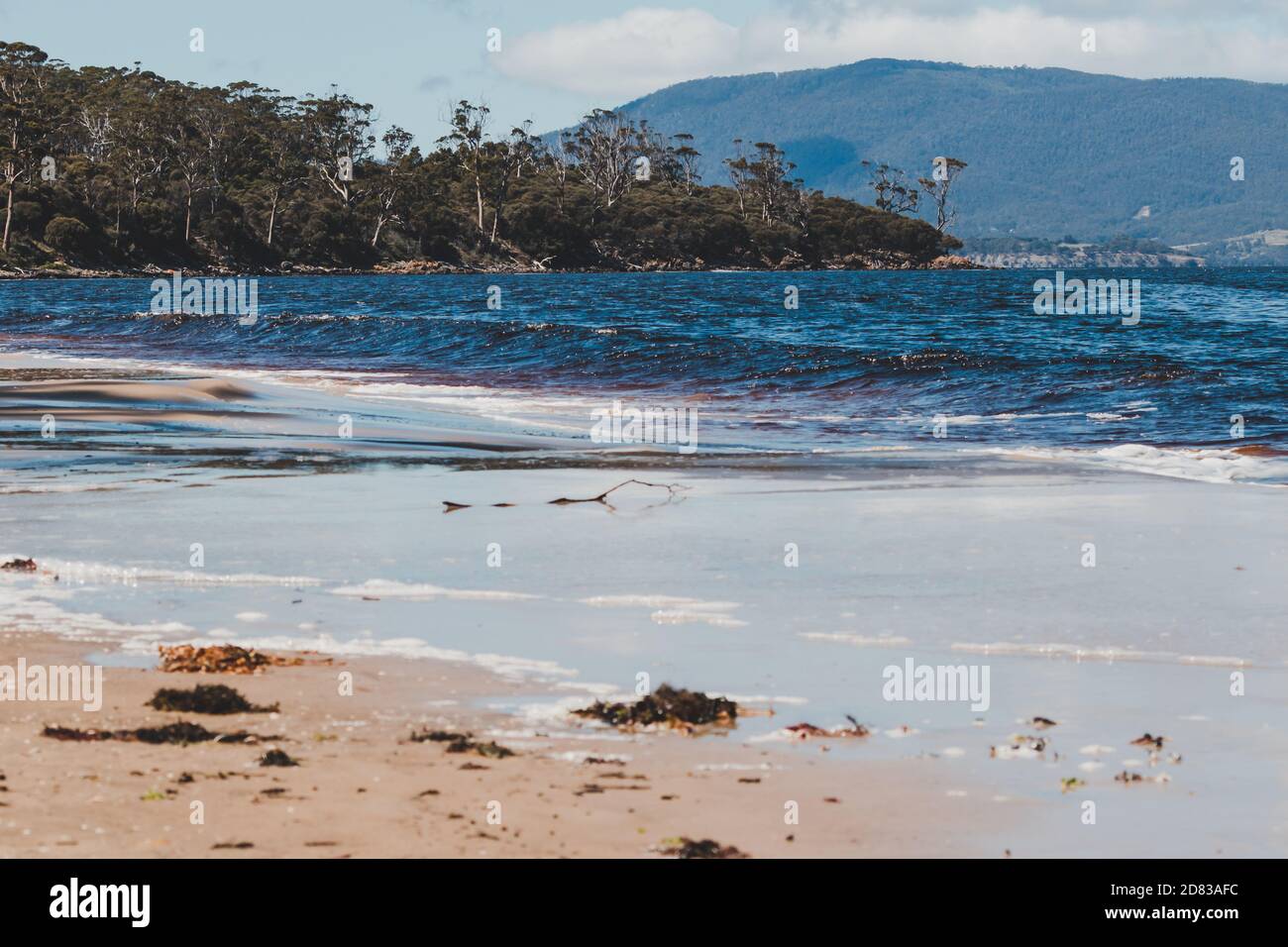 wild and rugged Verona Sands beach in South East Tasmania in Australia ...