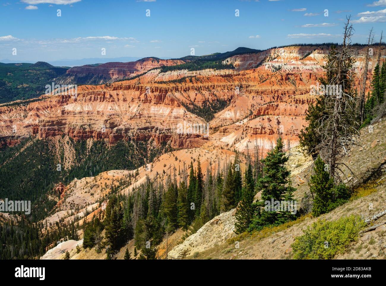 Cedar Breaks National Monument Stock Photo - Alamy