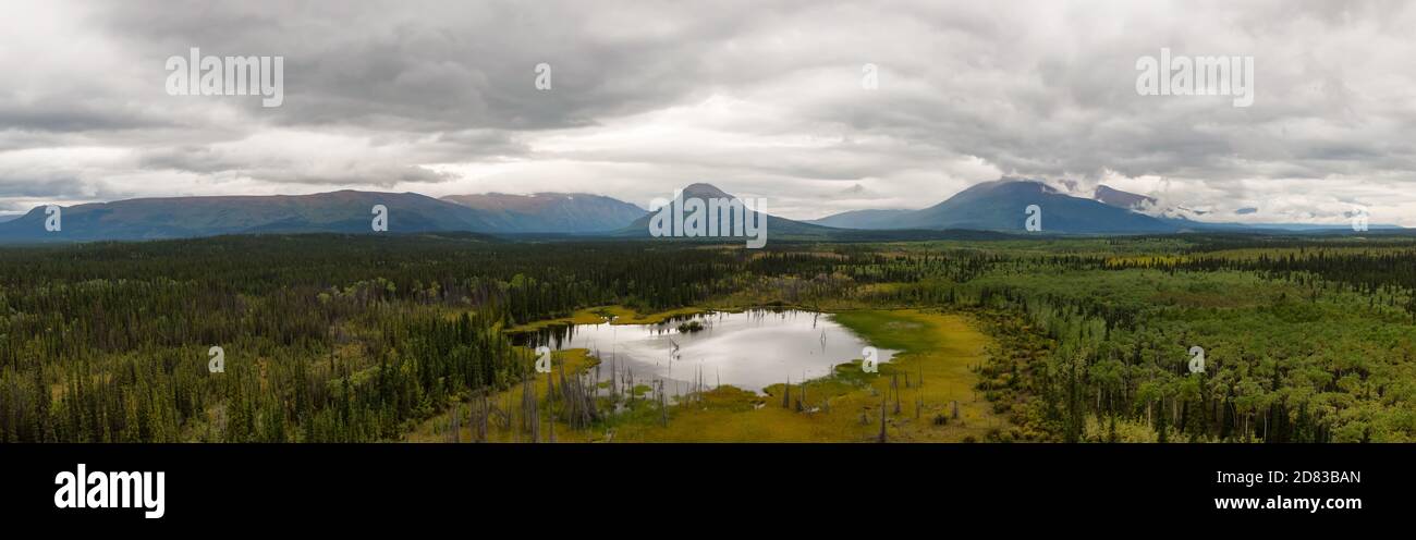 Aerial view lush marshland hi-res stock photography and images - Alamy