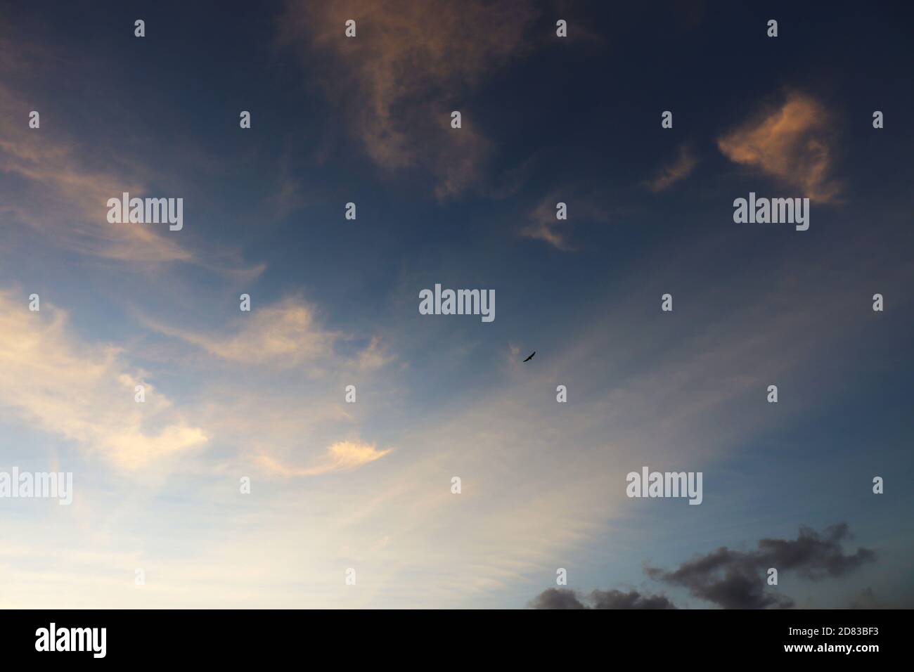 the evening sun hiding on the horizon Stock Photo - Alamy