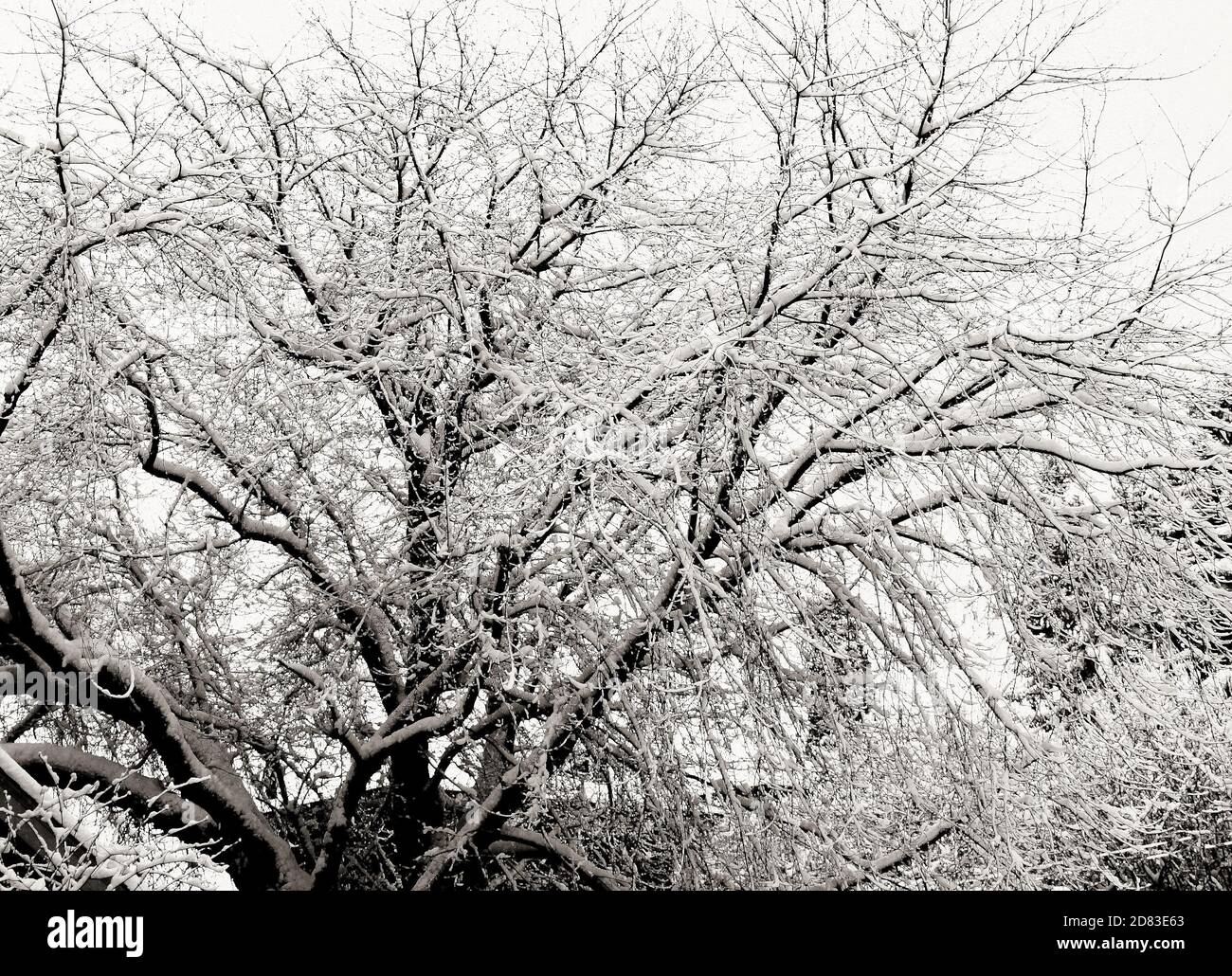 Weather and and seasons hi-res stock photography and images - Alamy