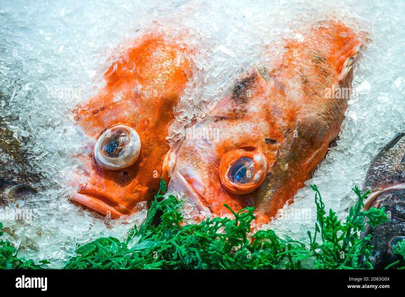 Farmers market fish hi-res stock photography and images - Alamy