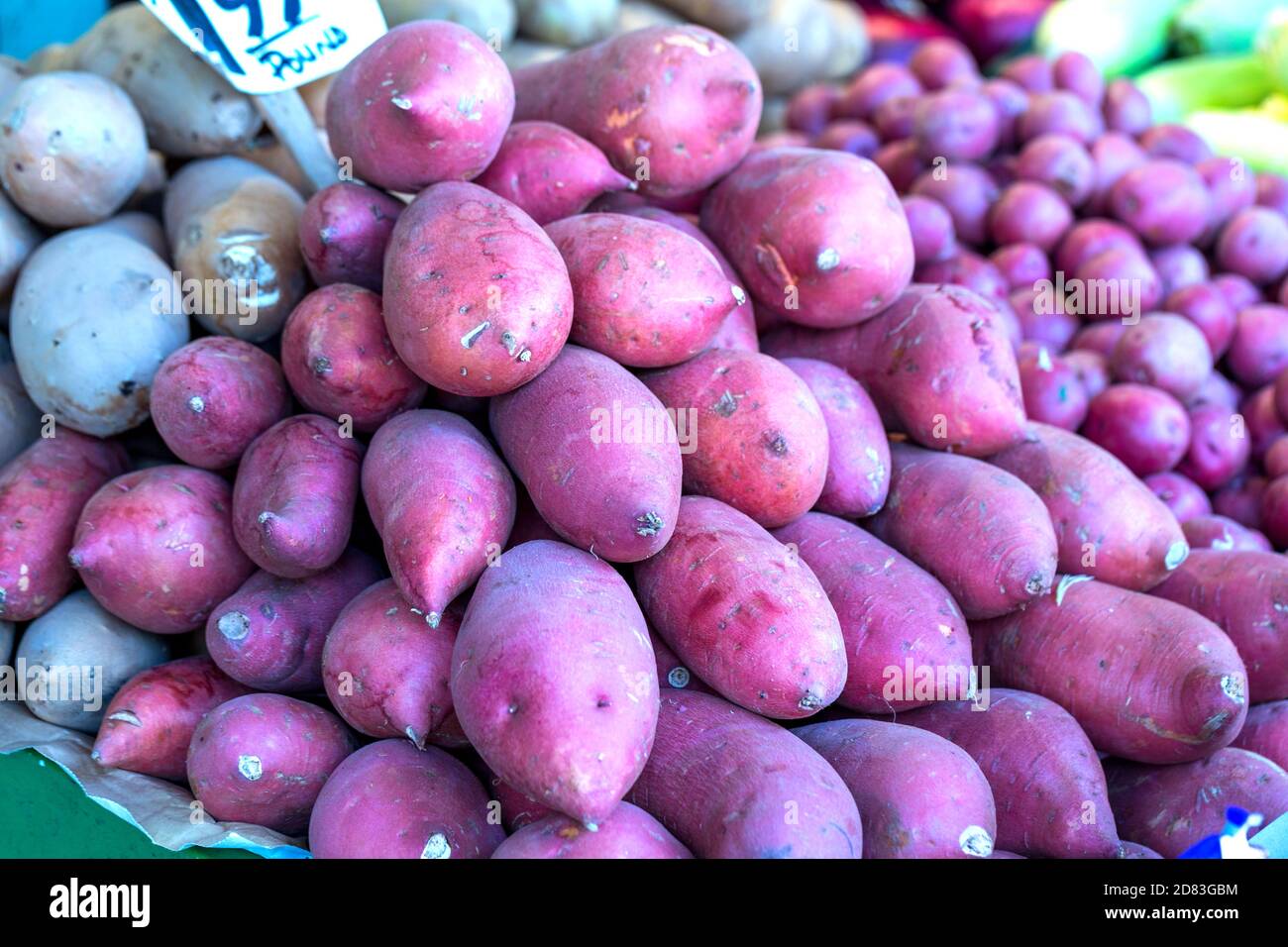 Corn at farmers market seattle washington hi-res stock photography and ...