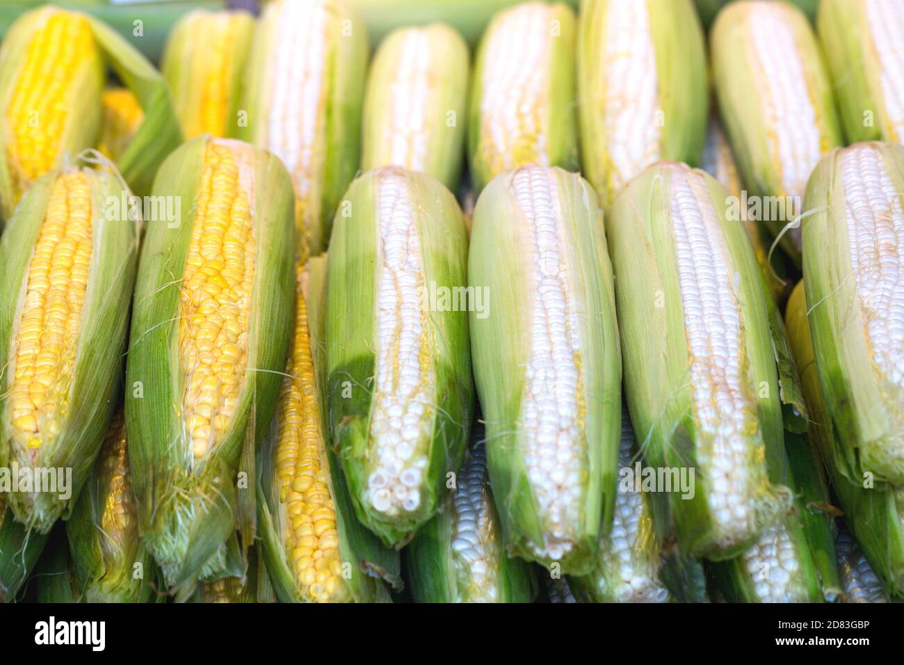 Us corn farmer hi-res stock photography and images - Alamy