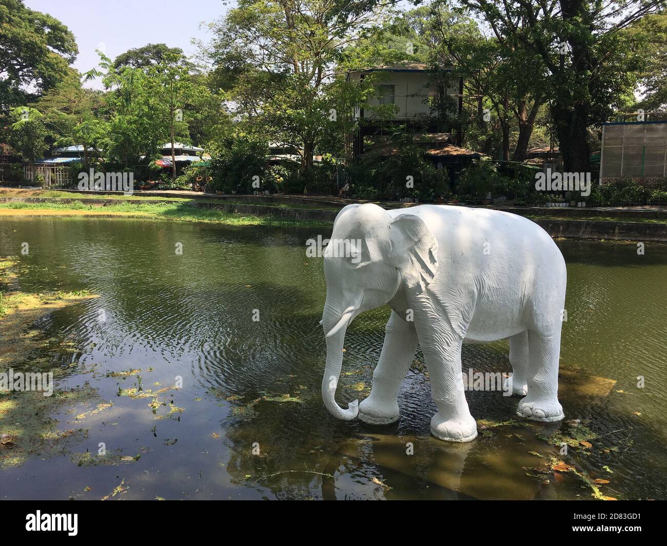 White elephant myanmar hi-res stock photography and images - Alamy