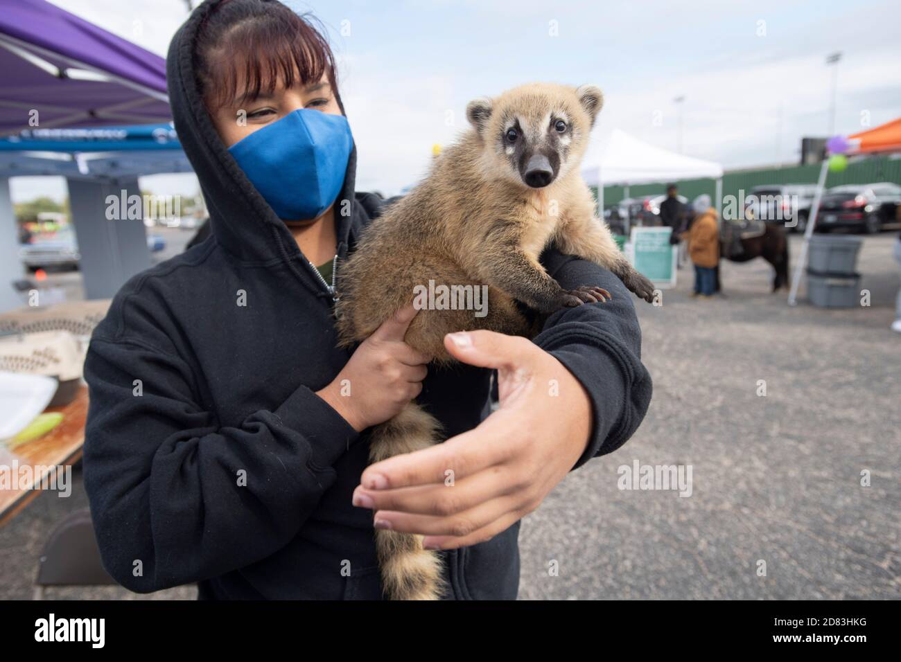Angelica Esquivel of Capital of Texas Zoo holds a coatimundi from South ...