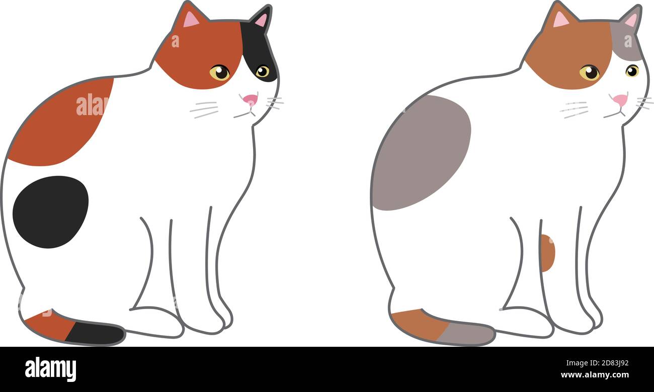 Calico cat in a sitting. Vector illustration isolated on white ...