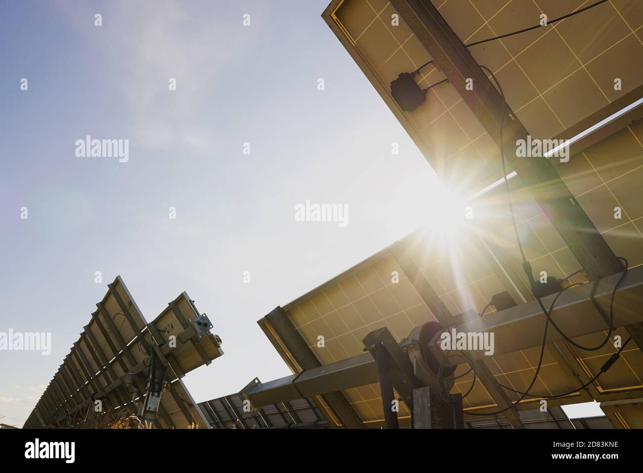 Back view of the solar farm(solar panel) with sun in background ...