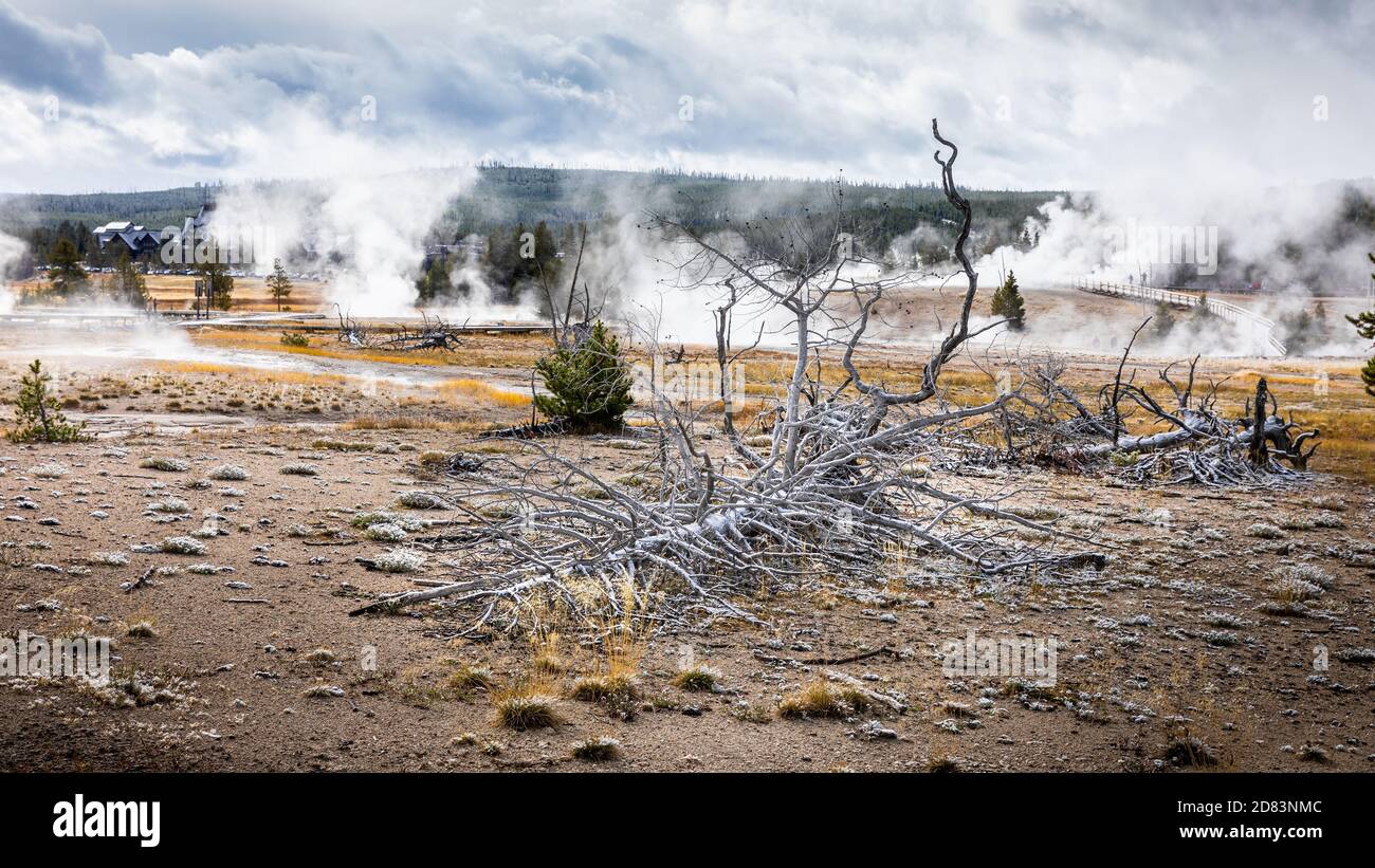 Global boiling hi-res stock photography and images - Alamy