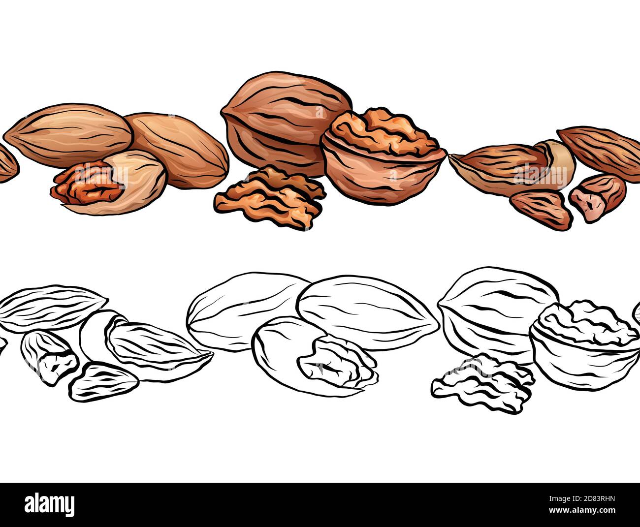 Set of seamless borders with colored and outline cartoon nuts. Walnut ...
