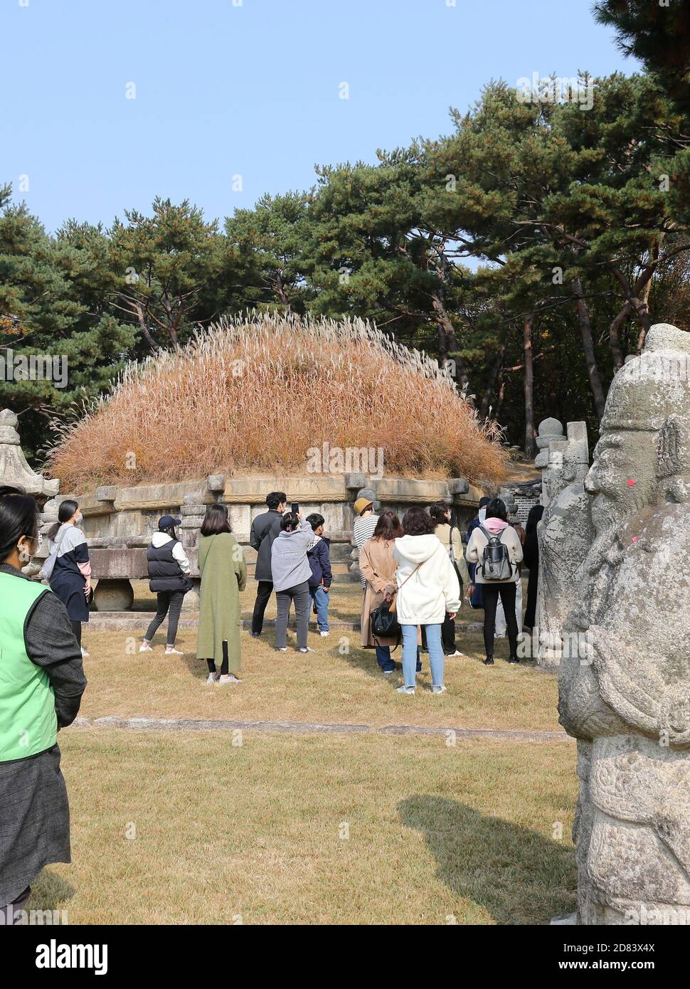 27th Oct, 2020. Touring royal tomb People tour the pampas grass-covered ...