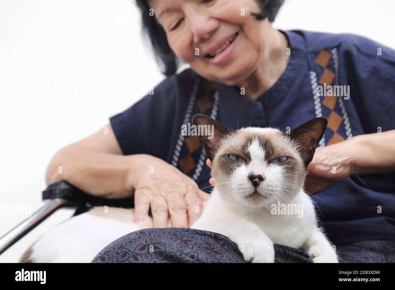 Elderly woman and cat hi-res stock photography and images - Alamy
