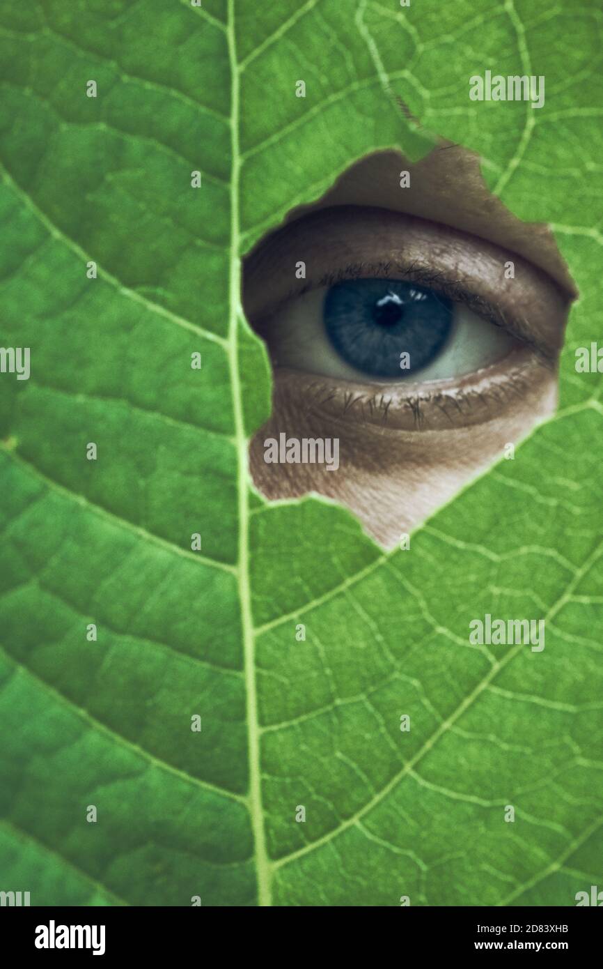 Woman with one blue eye and one green eye hi-res stock photography and ...