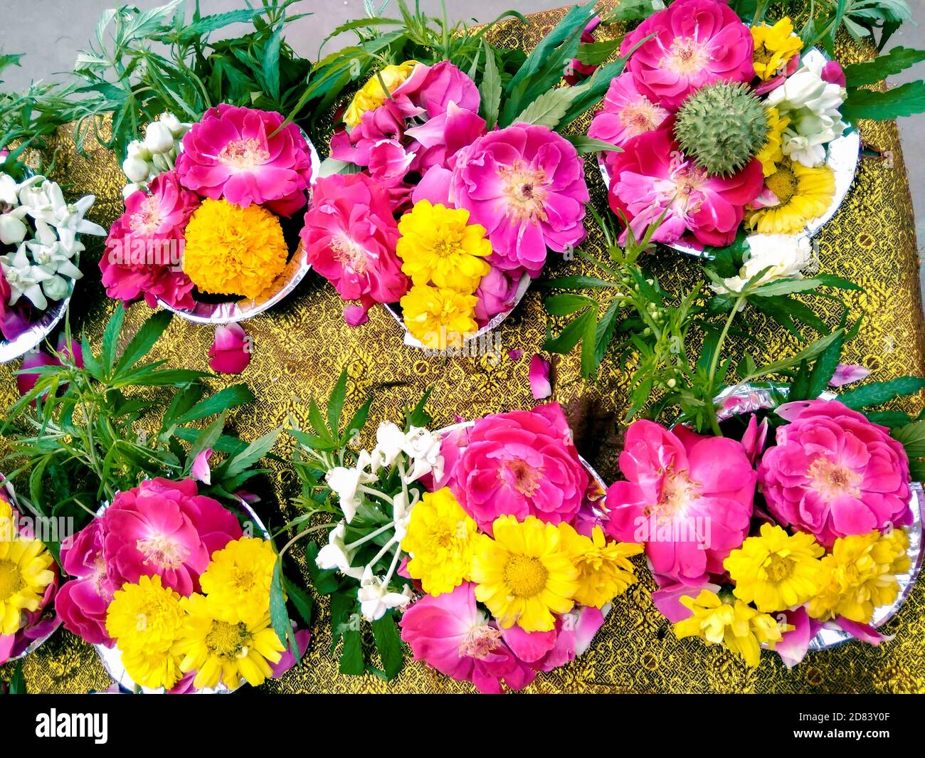 Flower with many petals hi-res stock photography and images - Alamy