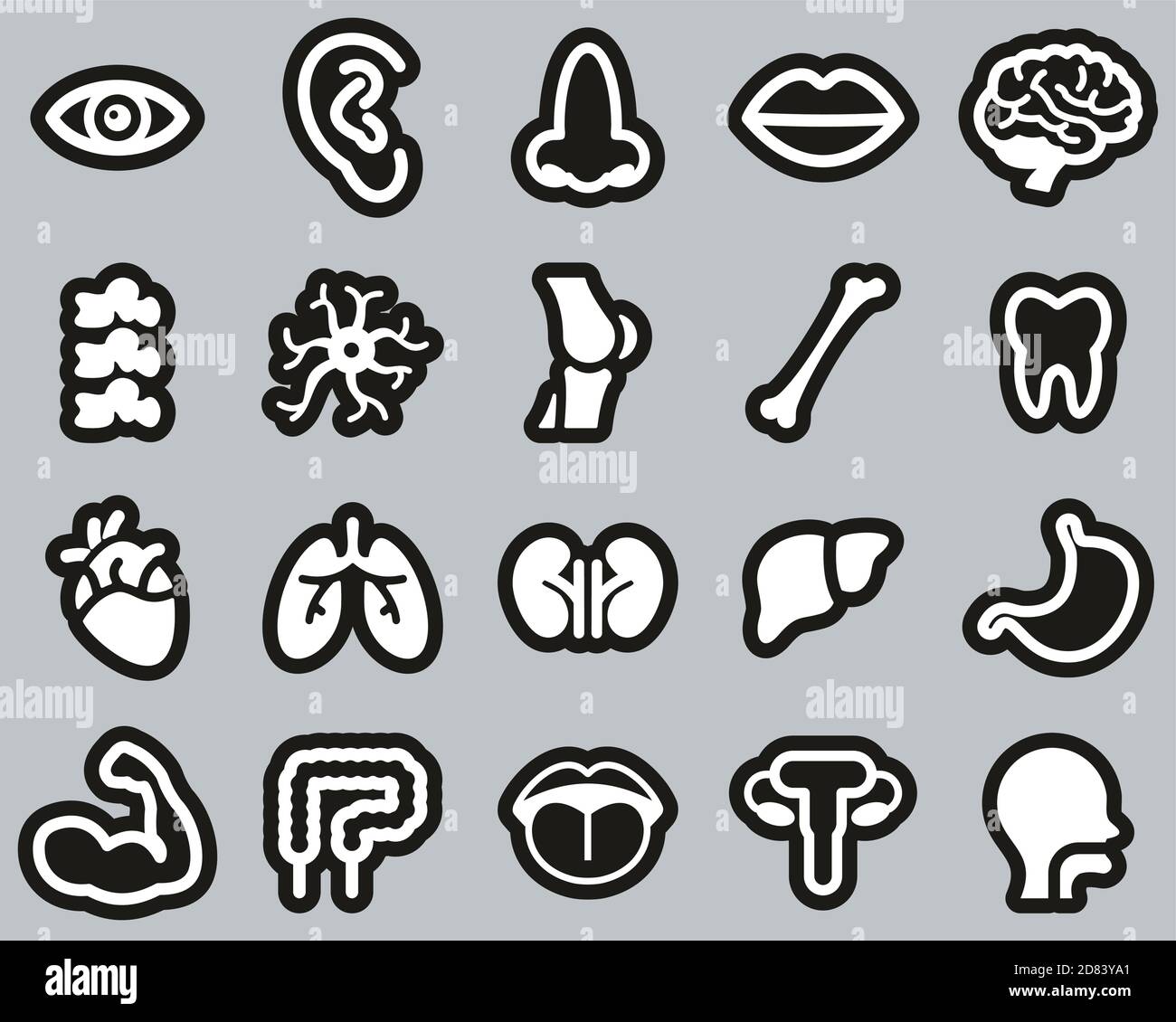 Human body parts icons Stock Vector Images - Alamy