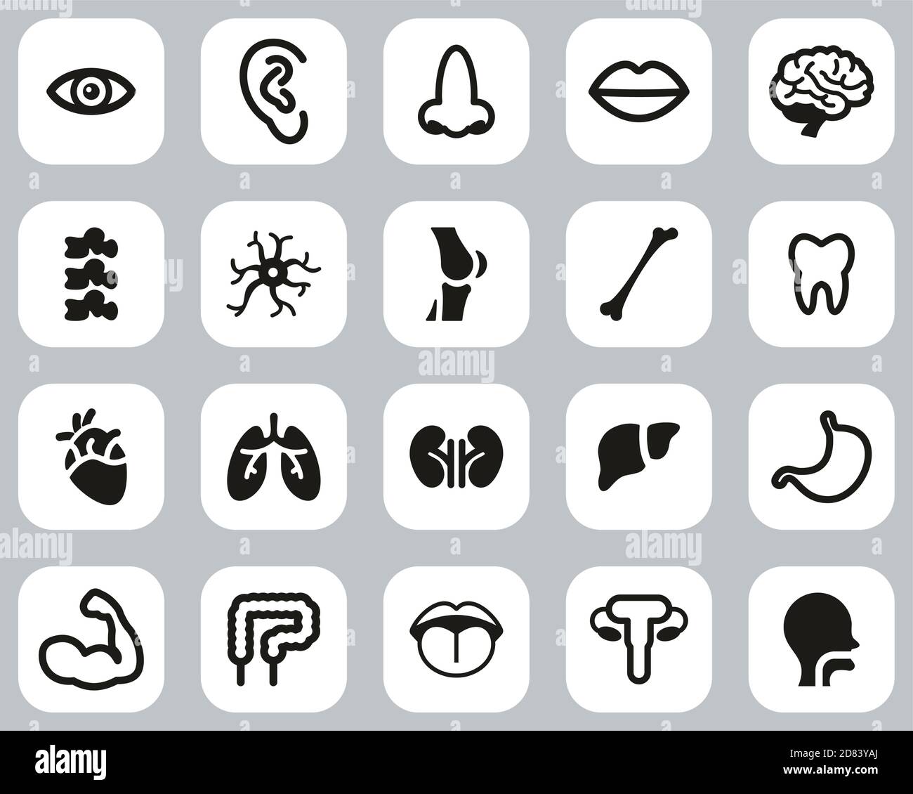 Human Anatomy Or Human Body Parts Icons Black & White Flat Design Set ...