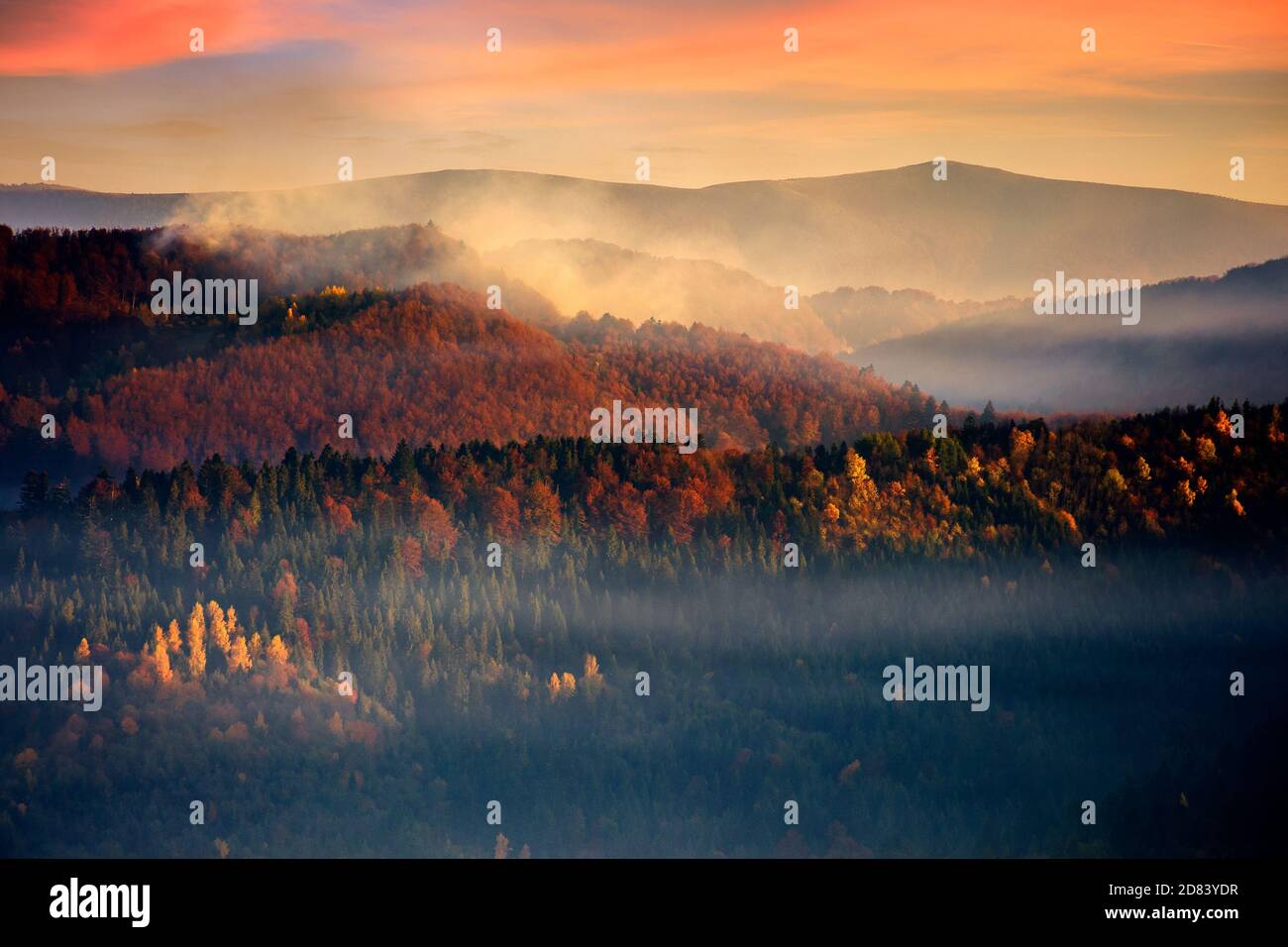 dramatic autumn dawn in mountains. beautiful nature background. fog ...