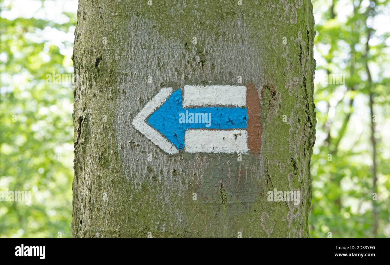 Marking the tourist route painted on the tree - Travel route sign Stock ...