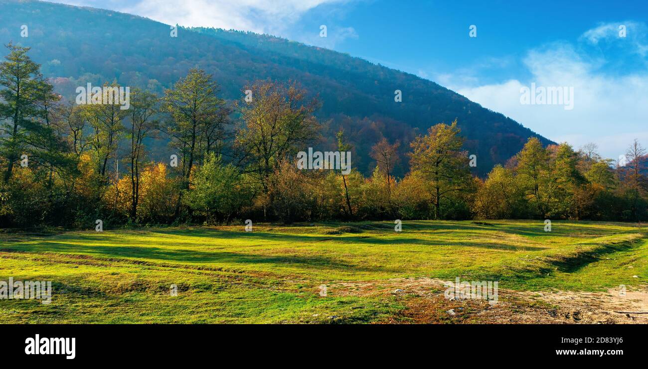 trees along the countryside valley. beautiful autumn scenery in ...
