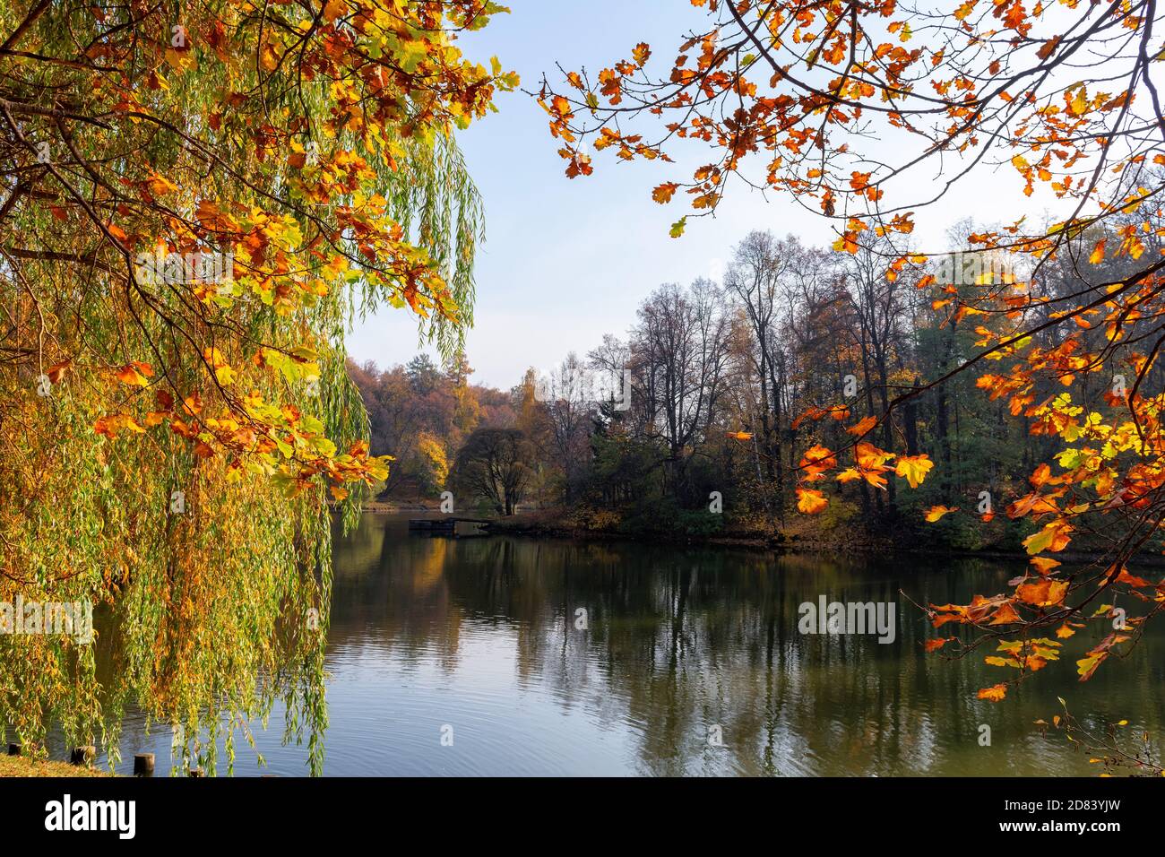 Colorful landscape beautiful trees hi-res stock photography and images ...
