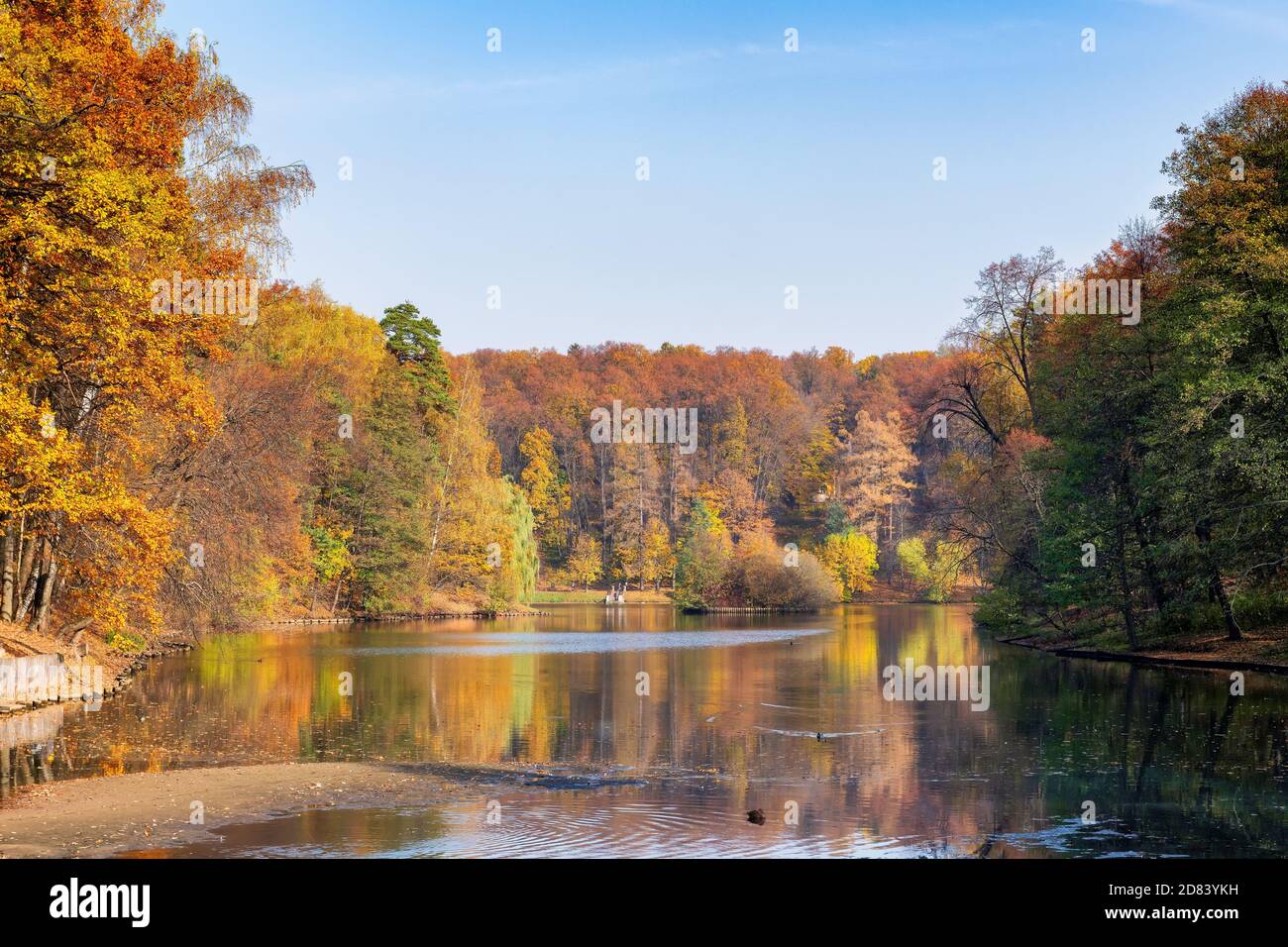 Colorful autumn leaves beautiful tree hi-res stock photography and ...