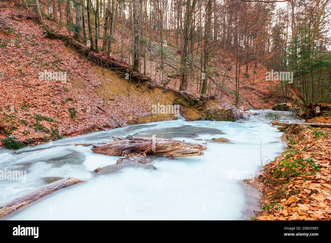 frozen river in the forest. cold frosty weather Stock Photo - Alamy