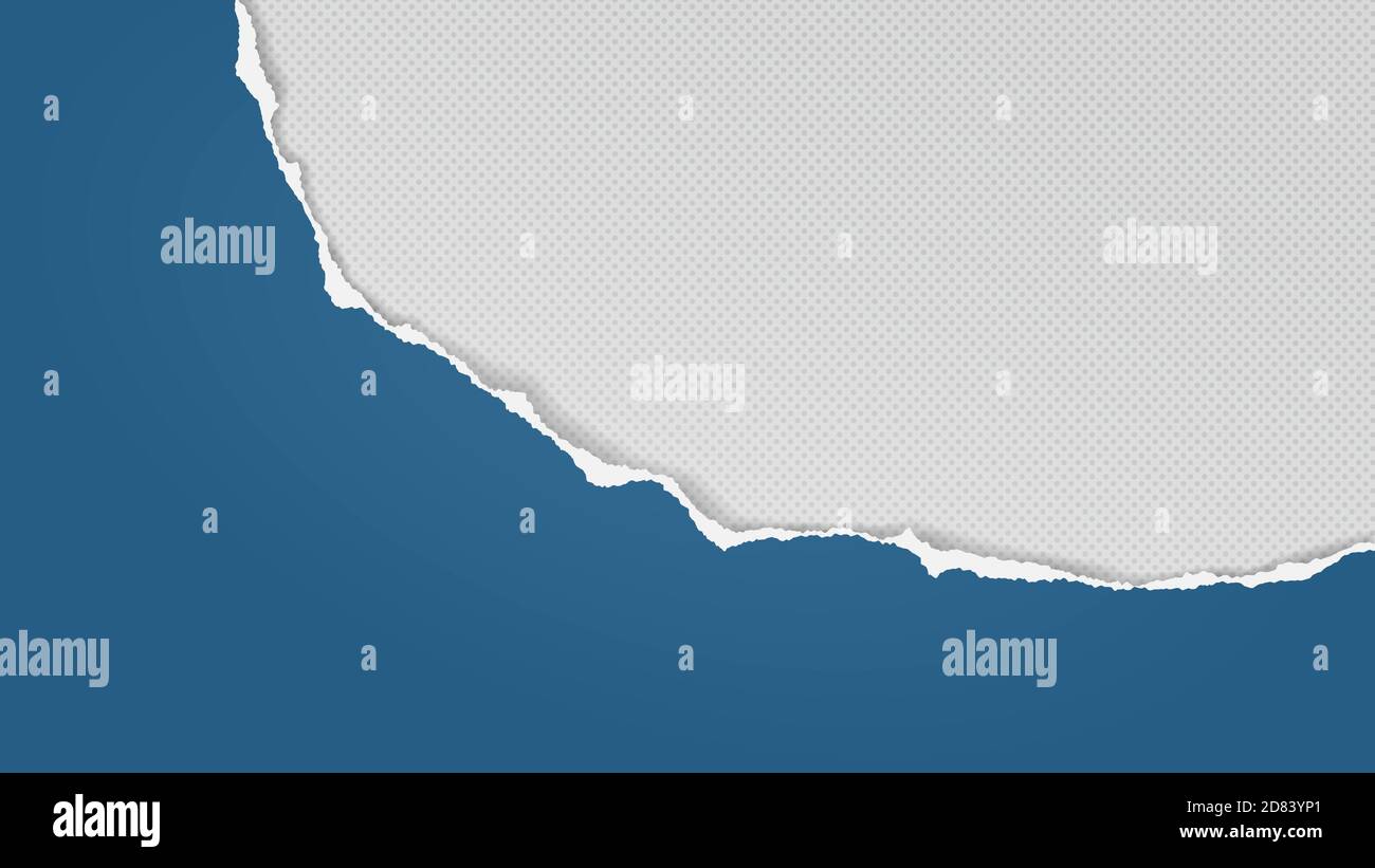 Torn of blue paper strip, piece is on white dotted background for text ...