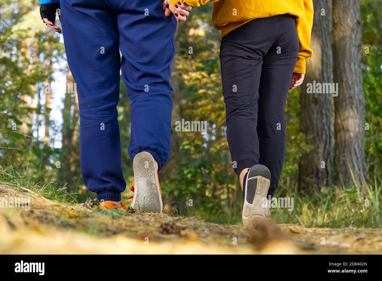 Mom with daughter walking in nature on the forest road holding hands ...