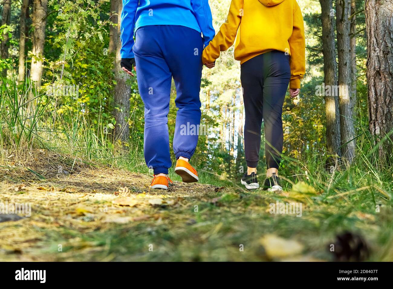 Mom with daughter walking in nature on the forest road holding hands ...
