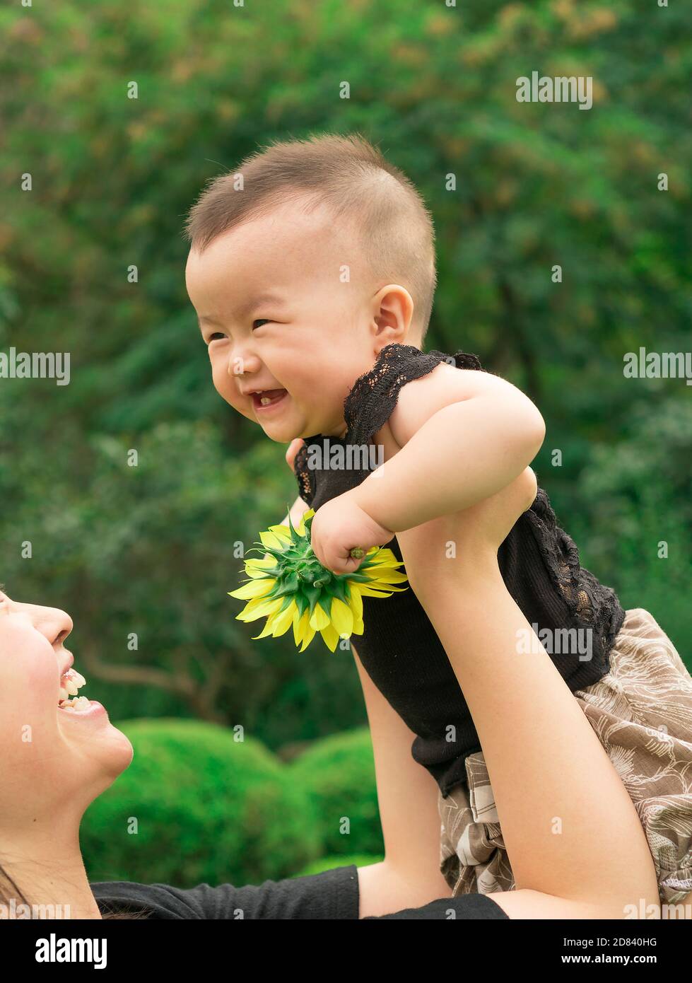mother lifting baby up Stock Photo - Alamy