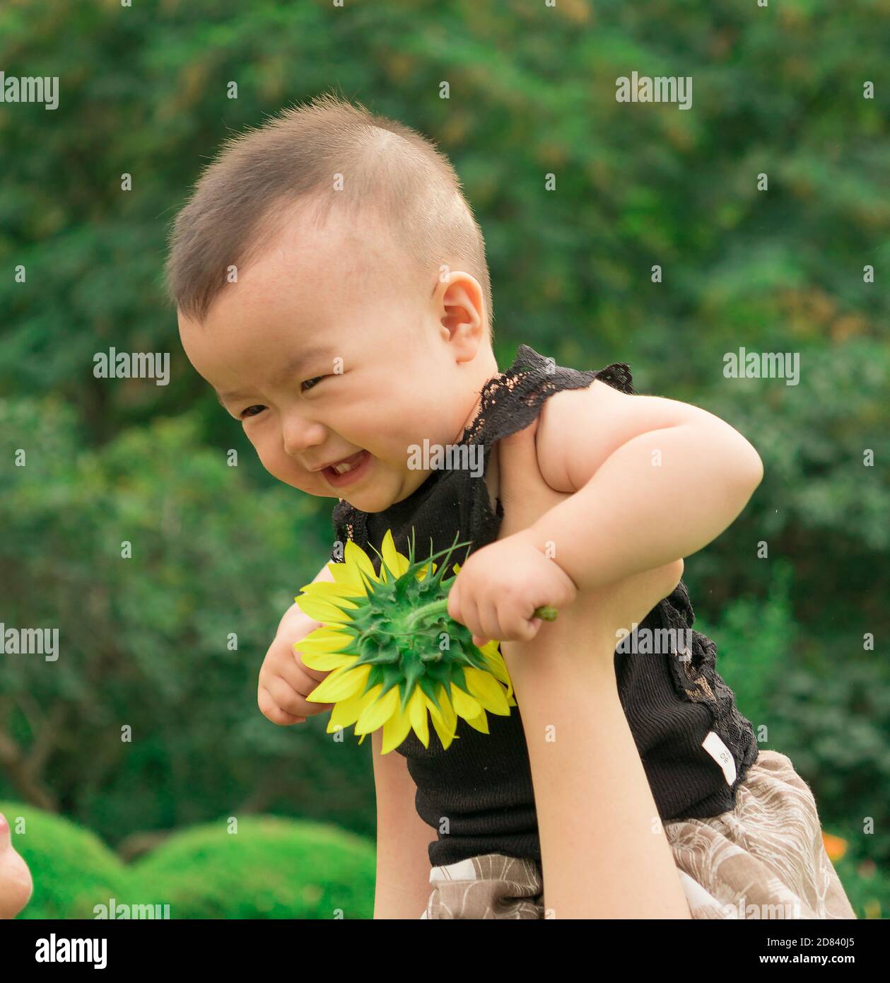 mother lifting baby up Stock Photo - Alamy