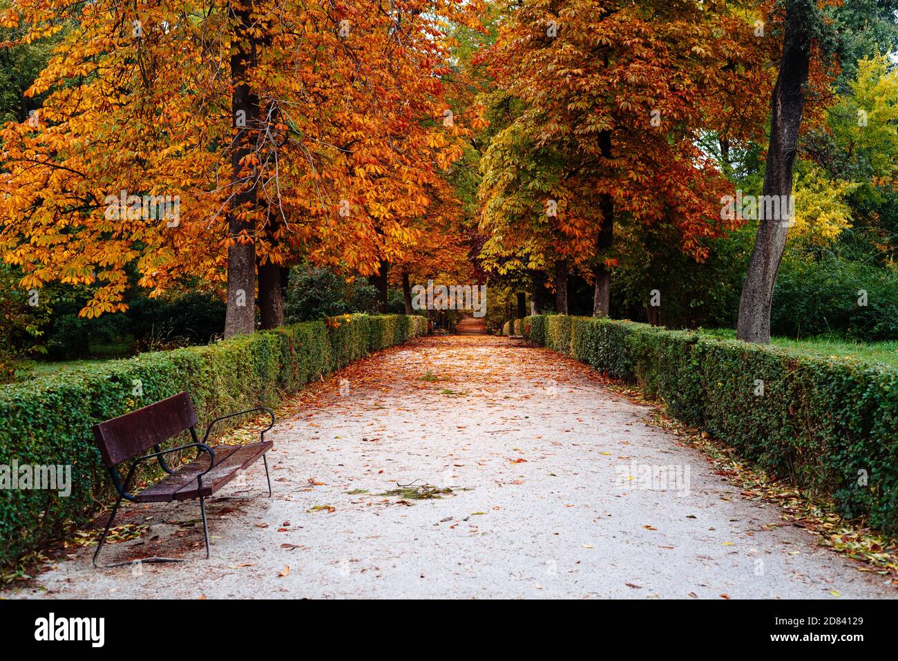 Scene of the Buen Retiro Park in Madrid during the fall with vibrant ...