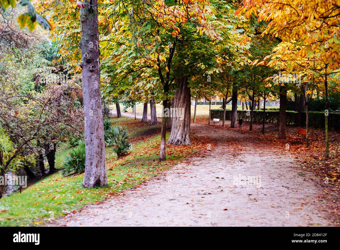 Scene of the Buen Retiro Park in Madrid during the fall with vibrant ...