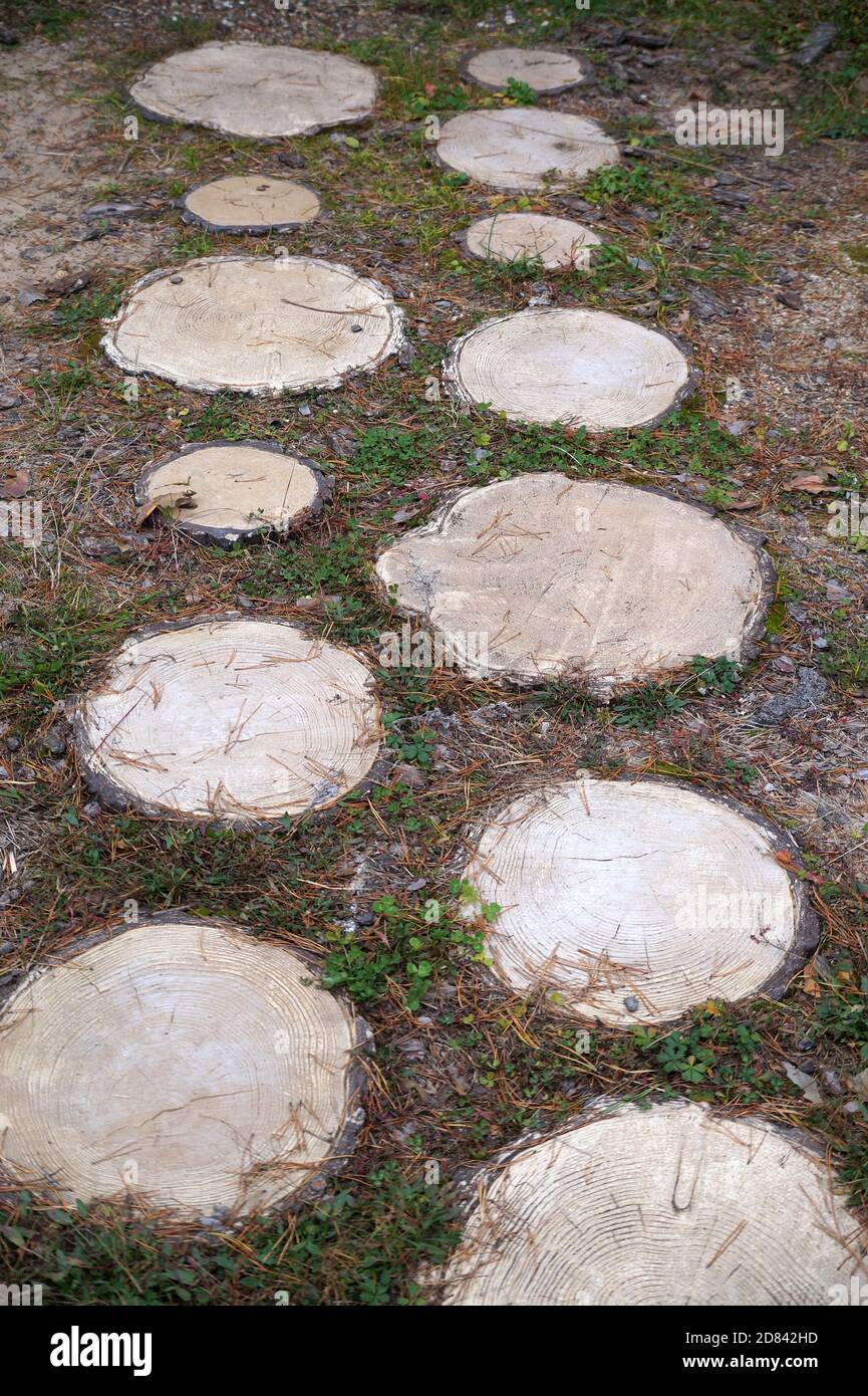 decorative path in the garden from round wooden cuts Stock Photo - Alamy