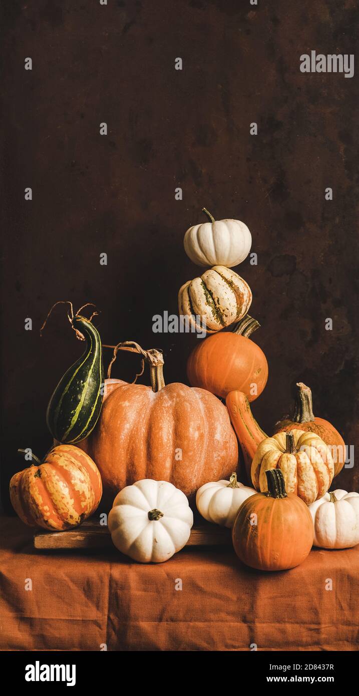 Colorful pumpkins of different shapes and size in pyramid composition ...