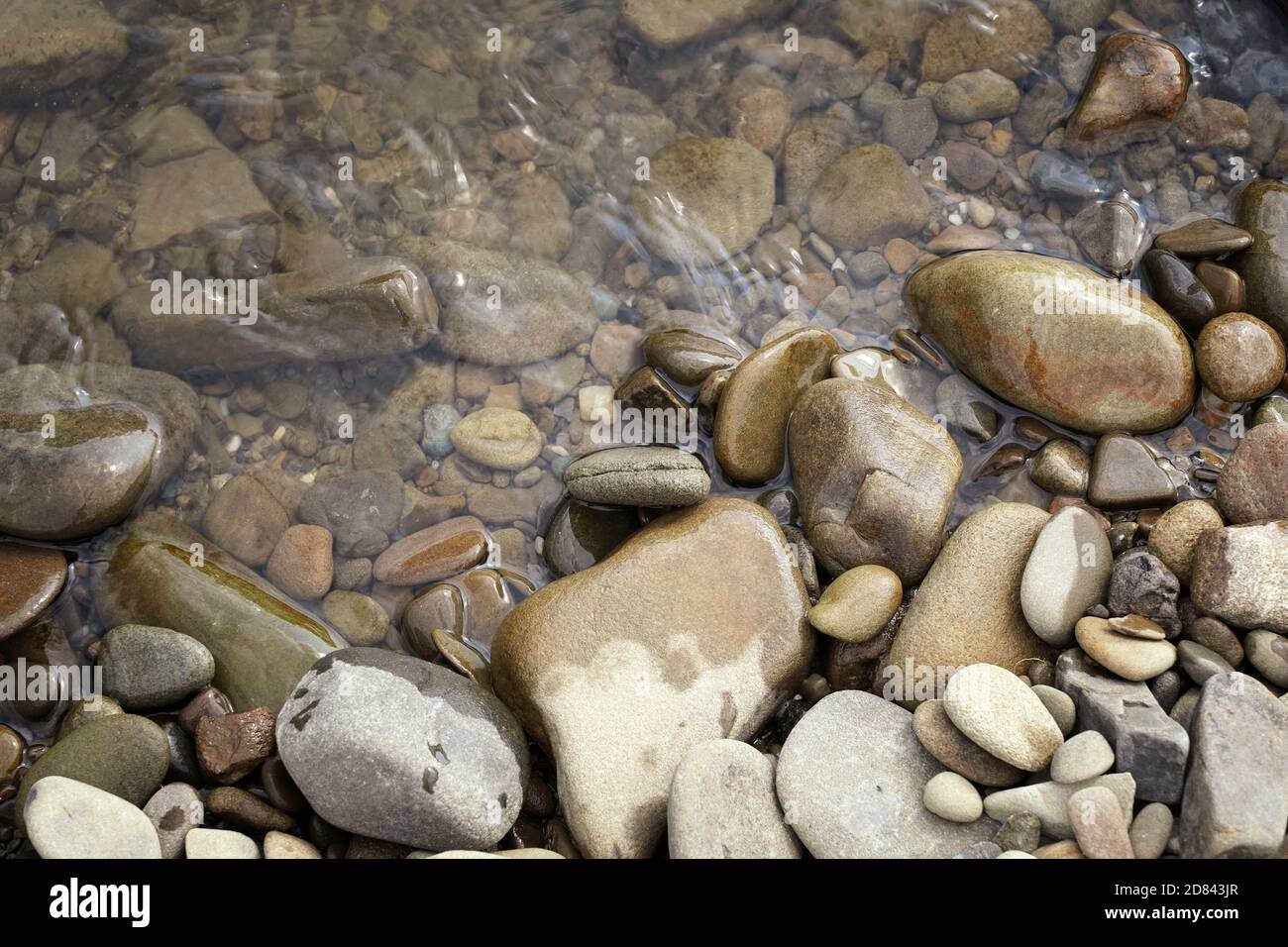 Summer day by the river, stones on the waterfront, close-ups Stock ...