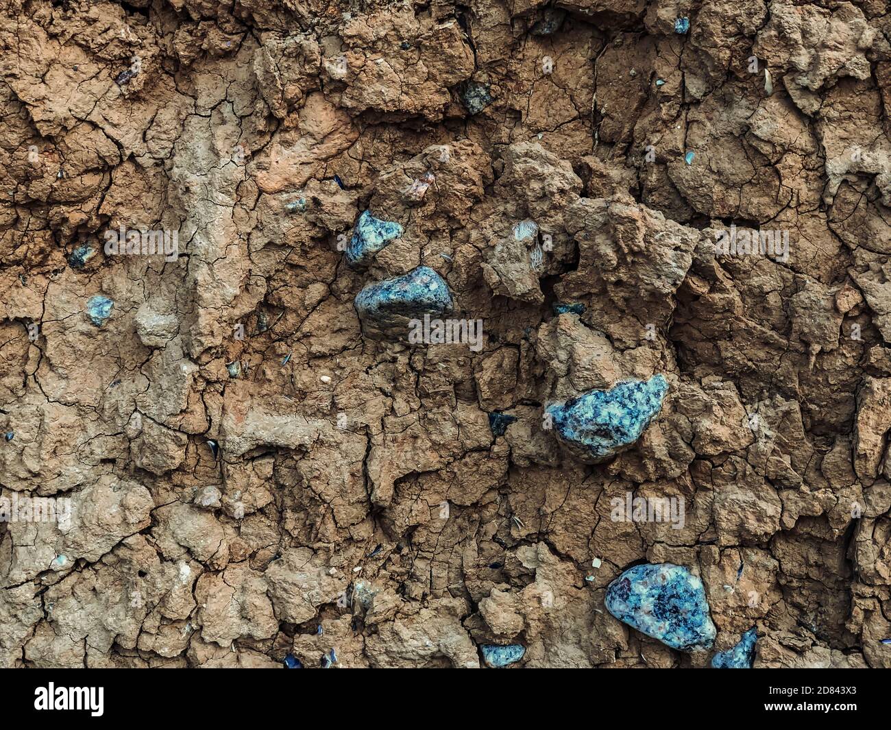 Cracked earth, a vertical cut of the sea shore on a cliff interspersed ...