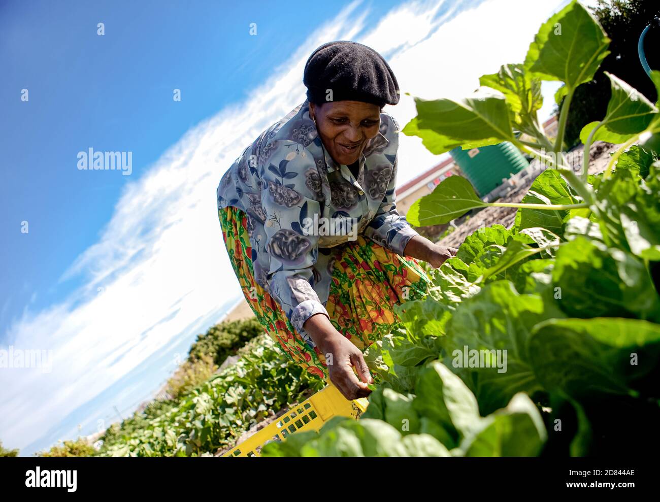 Sustainability africa hi-res stock photography and images - Alamy