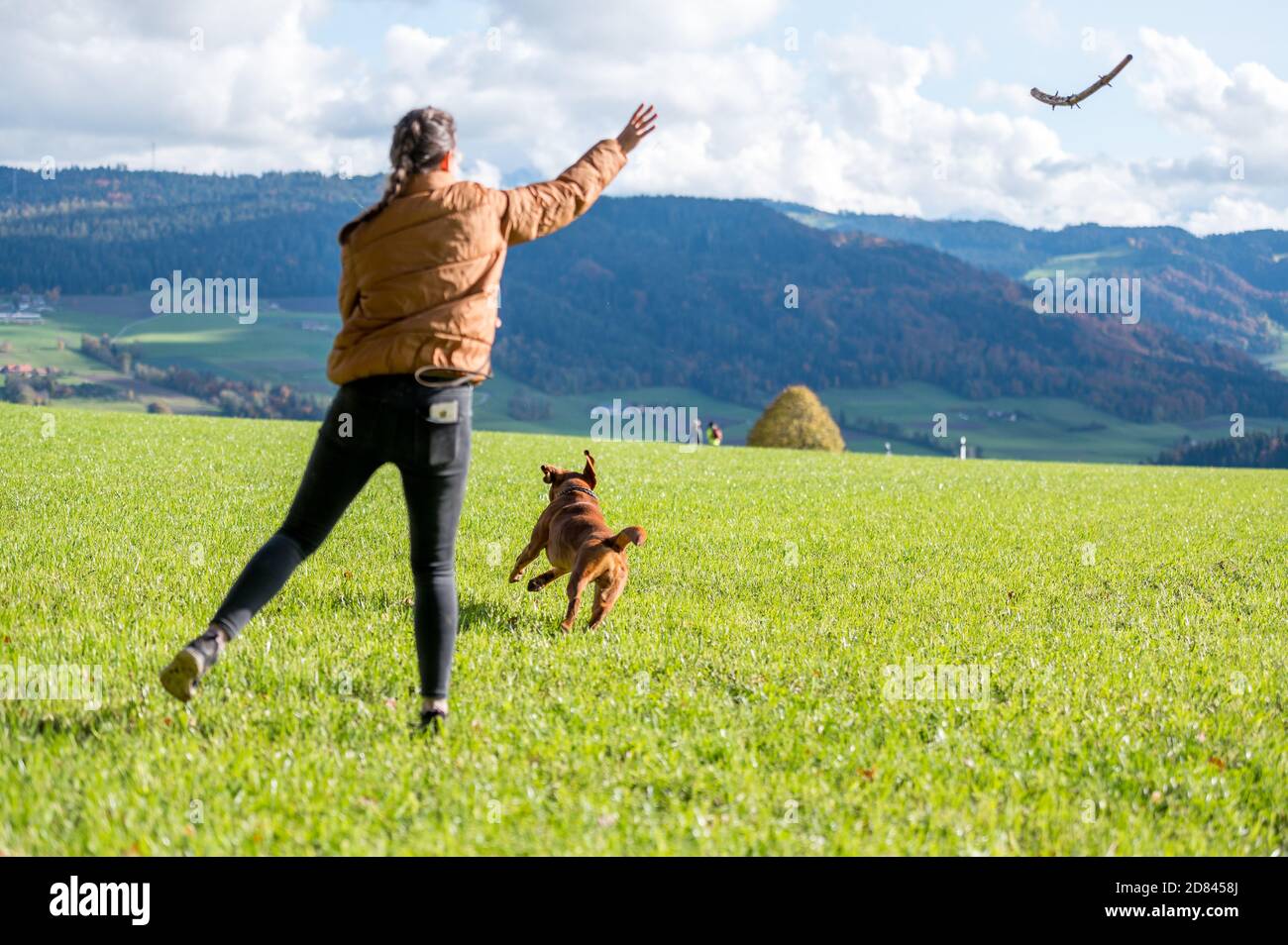Throwing stick hi-res stock photography and images - Alamy