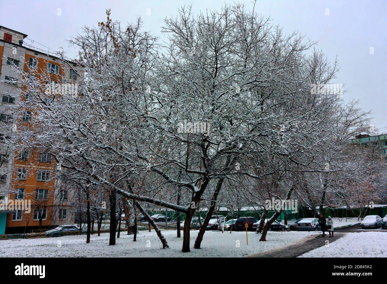 2015 snowstorm hi-res stock photography and images - Alamy