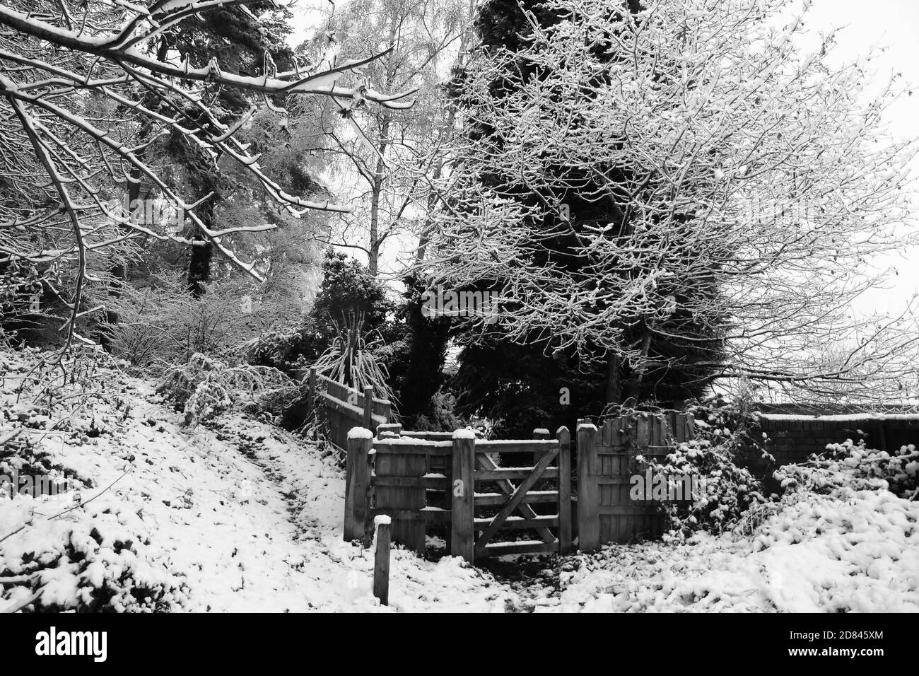 A beautiful winter snow scene in woods. trees and wooden gateway ...